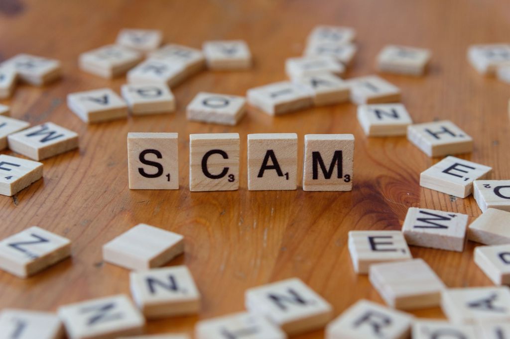 Beware The Scam! – Melissa Charles author